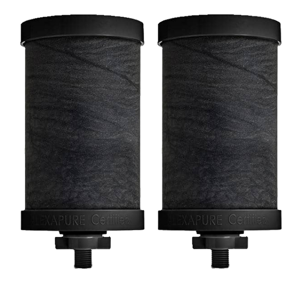 Alexapure Pro Replacement Filter 2-Pack | Certified Water Purifier Filters